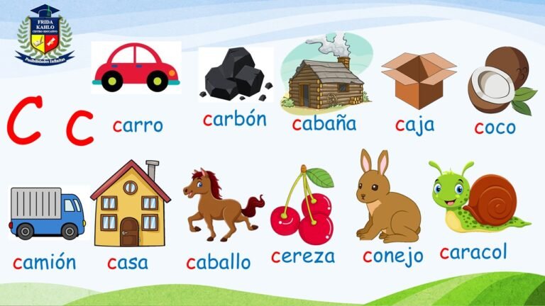 LA LETRA C | en INGLES y ESPAÑOL【 PALABRAS CON C / c】